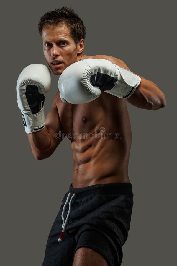 Boxer posing in studio. stock image. Image of calm, fight - 107908725