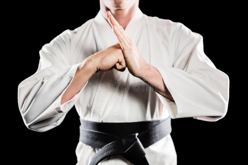 Fighter Performing Karate. Abstract Black Plastic Human Body Fighter ...