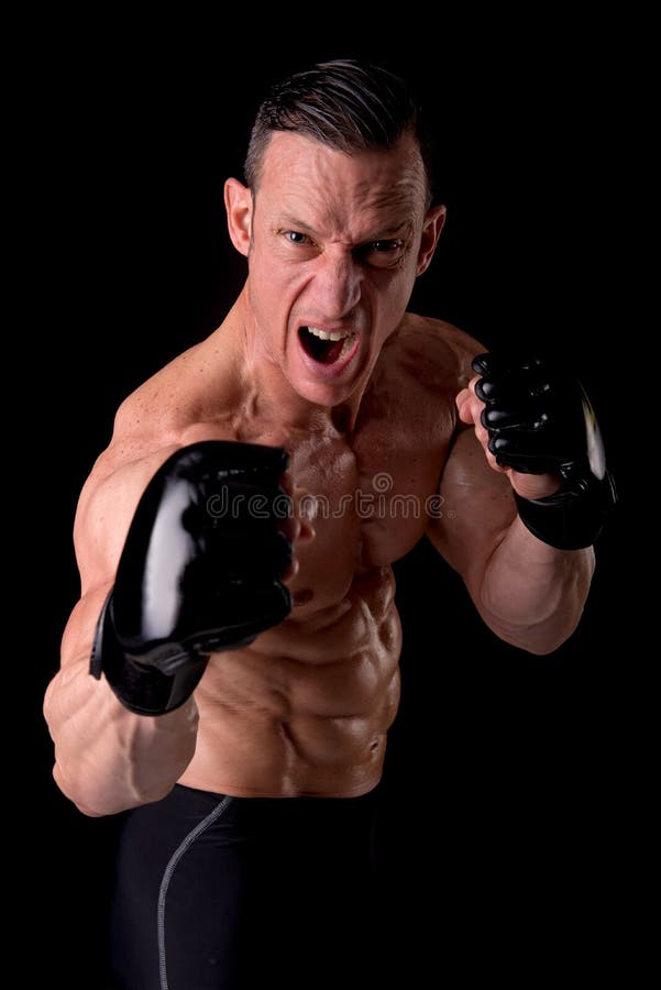 Fighter Posing with Gloves Isolated Stock Photo - Image of glove ...