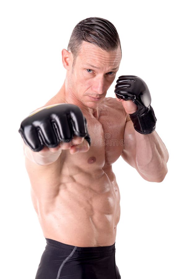 Fighter Posing with Gloves Isolated Stock Image - Image of model ...