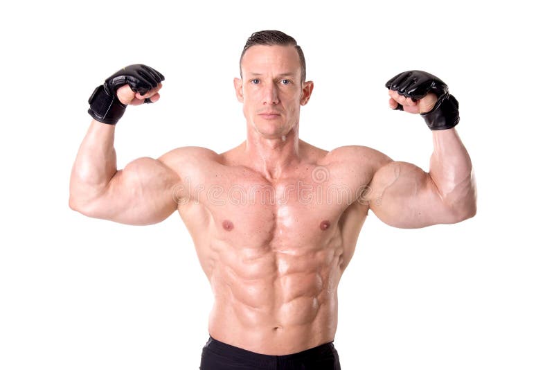 Fighter Posing with Gloves Isolated Stock Photo - Image of fitness ...
