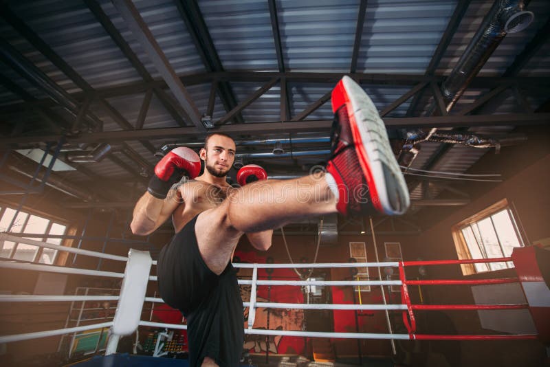 Fighter in Red Boxing Gloves at a Training. Stock Photo - Image of ...