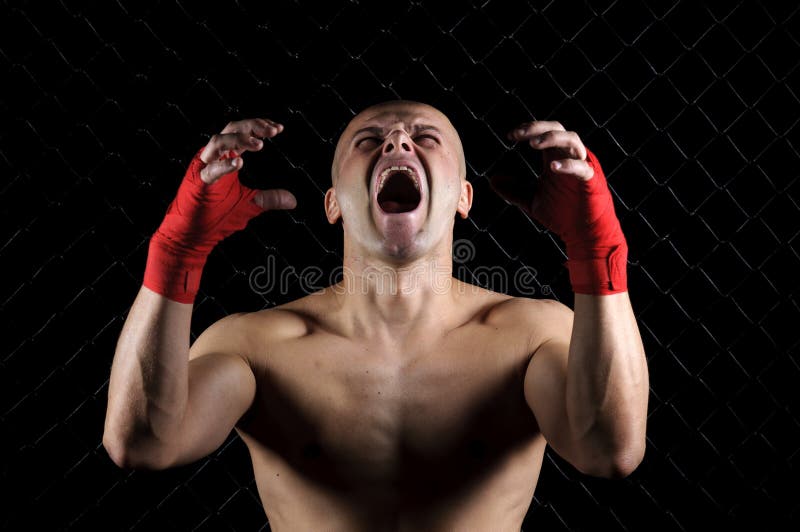 The fighter screaming stock photo. Image of combative - 67643256