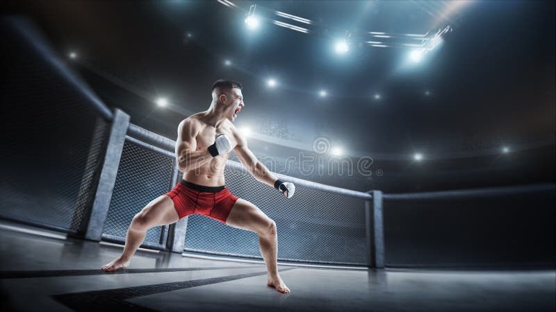 Fit Fighter Picture. Image: 26868453