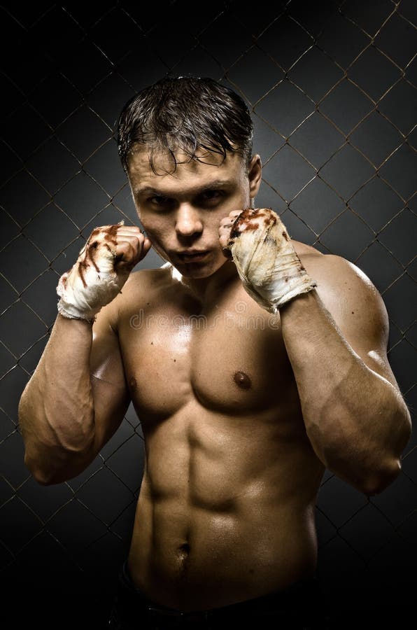 Fighter stock photo. Image of athletic, brawler, boxing - 51640628
