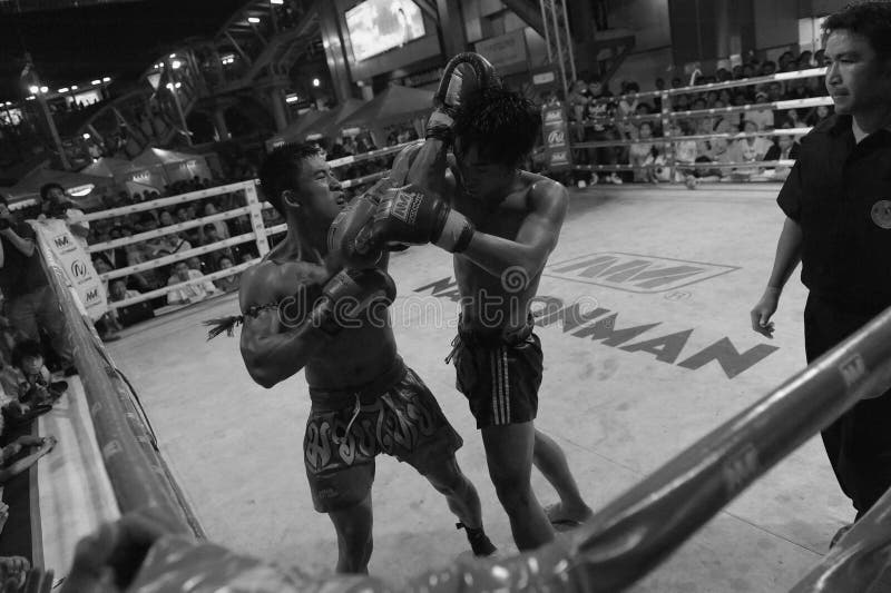 Thai Boxing Match editorial stock image. Image of defeated - 24053749