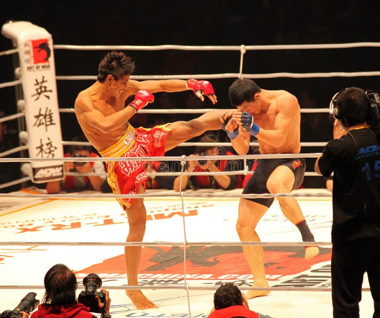 130 Fighting Place Boxing Kids Stock Photos - Free & Royalty-Free Stock ...