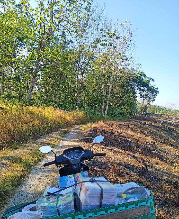 Fighting in the Blora Forest Editorial Image - Image of nation ...