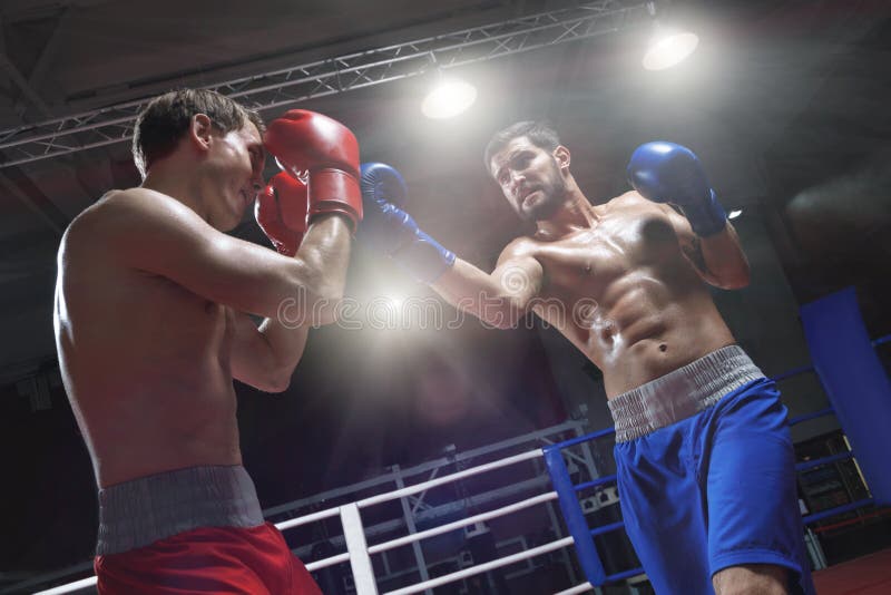 Professional Boxing in Phoenix, Arizona. Editorial Photography - Image ...