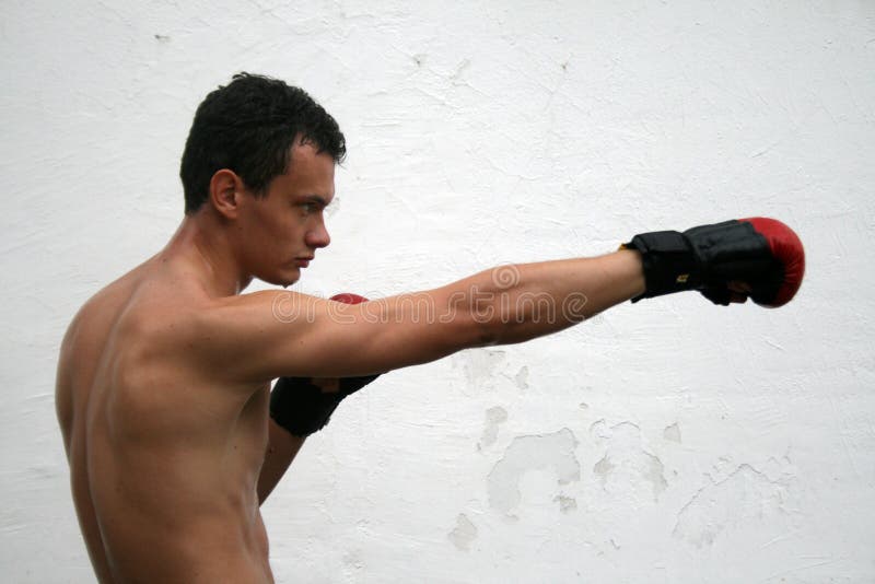 Fighting boxing man stock image. Image of attractive - 10570077