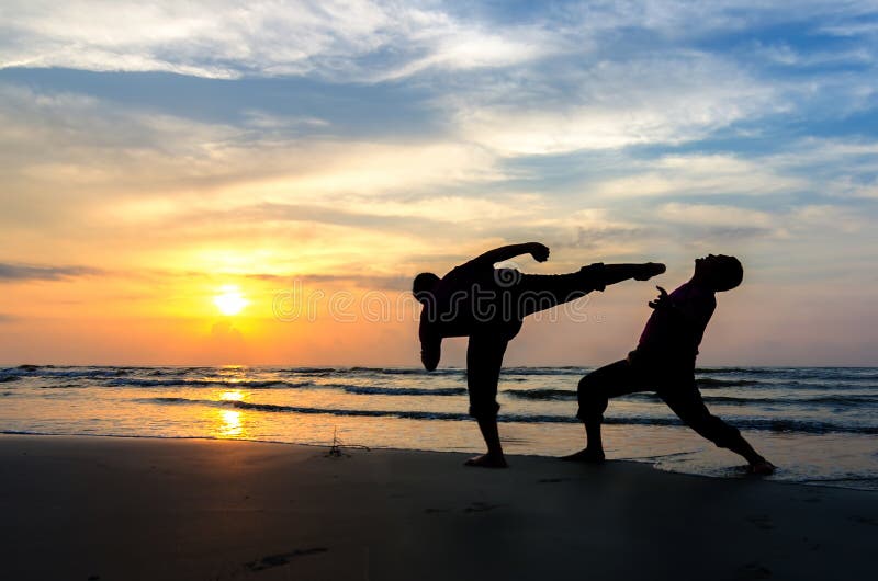 Fighting an Enemy Near the Beach Stock Photo - Image of shaolin, kungfu ...