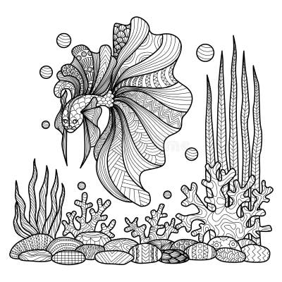 Fighting Fish Drawing for Coloring Book. Stock Vector - Illustration of ...