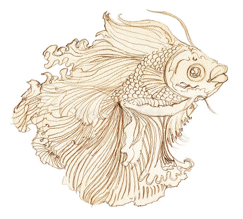 Thai Art Fish Stock Illustrations – 2,117 Thai Art Fish Stock ...