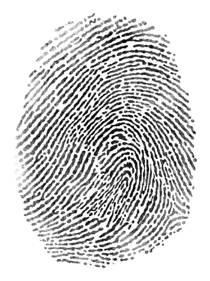 Real fingerprint stock photo. Image of finger, allegory - 25787622