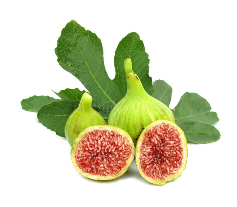 Figos comuns imagem de stock. Imagem de fresco, delicioso - 10633881