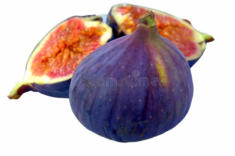 Single fig stock photo. Image of syrup, green, mediterranean - 37200