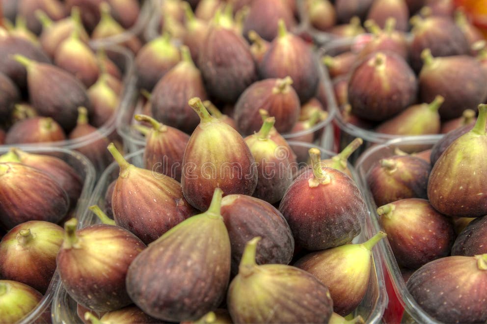 Figs stock photo. Image of group, freshness, objects - 17244930