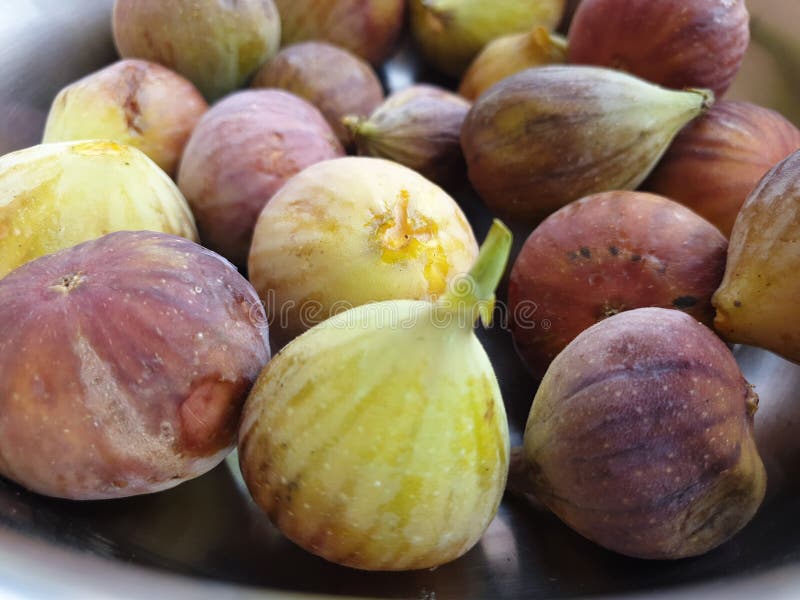 These are the figs stock photo. Image of flower, evergreen - 183483872