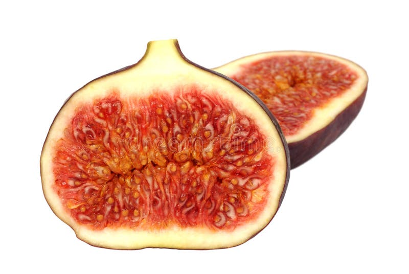 3,503 Soft Figs Stock Photos - Free & Royalty-Free Stock Photos from ...