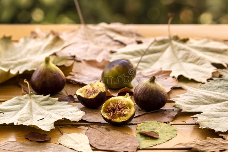 Figs and Autumn Leaves on the Table Stock Photo - Image of healthy ...