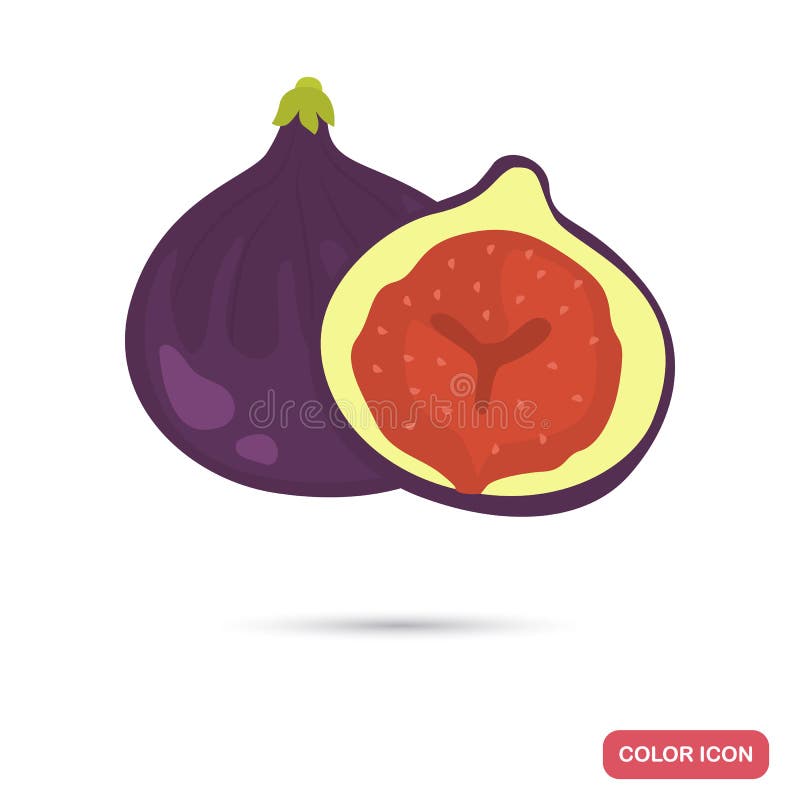 Figs Color Flat Icon for Web and Mobile Design Stock Vector ...