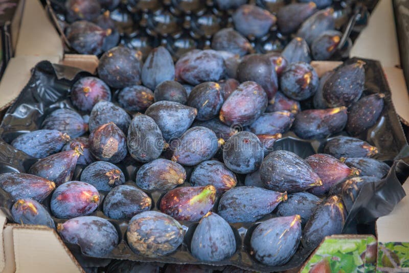 Figs stock image. Image of color, shop, basket, sell - 250289657