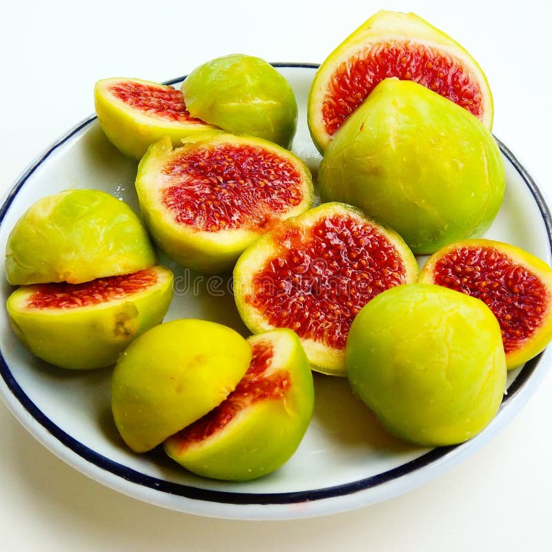 Figs stock photo. Image of tree, syrup, ripe, seeds - 100454692