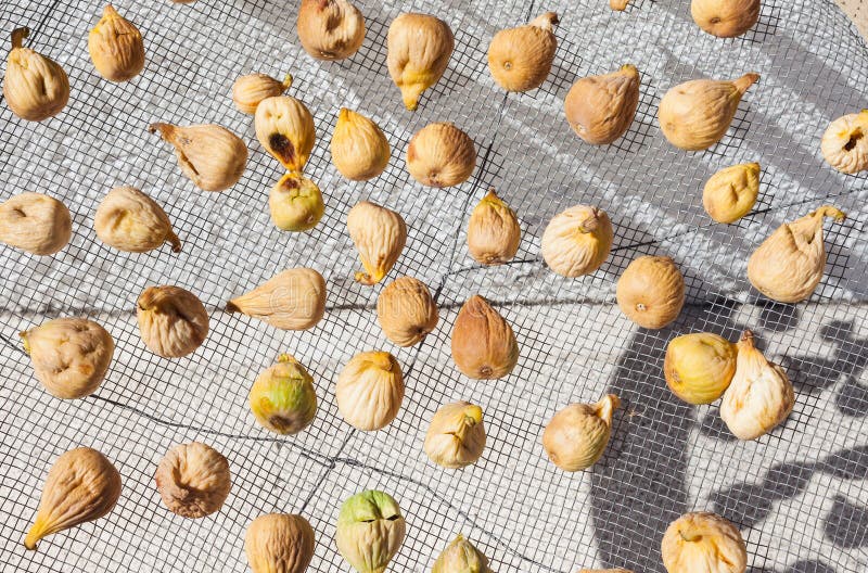 Figs Drying Sun Spain Stock Photos - Free & Royalty-Free Stock Photos ...