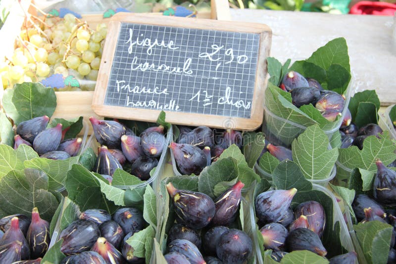 Figs at a French market stock image. Image of fruits - 26639619