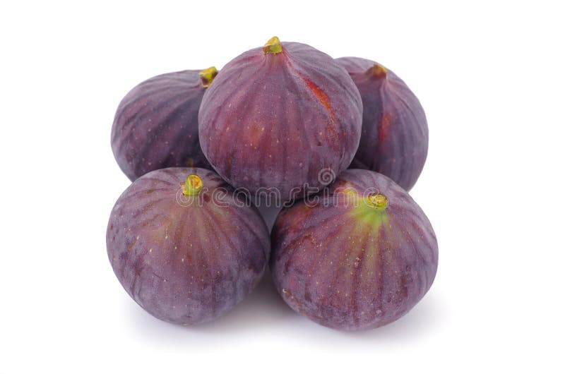 Figs stock photo. Image of segment, food, objects, ripe - 263509472