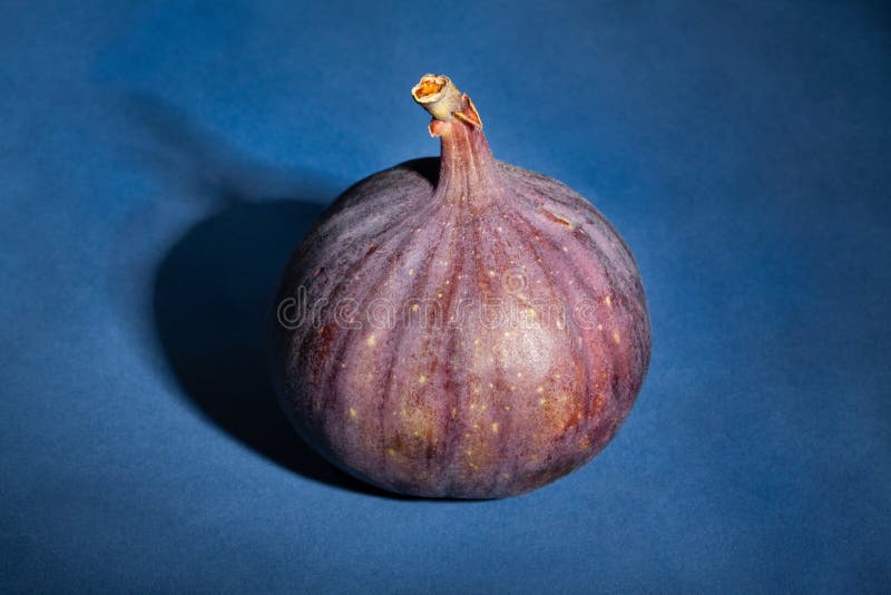 Figs fruit on blue stock image. Image of vivid, nutrition - 214340787