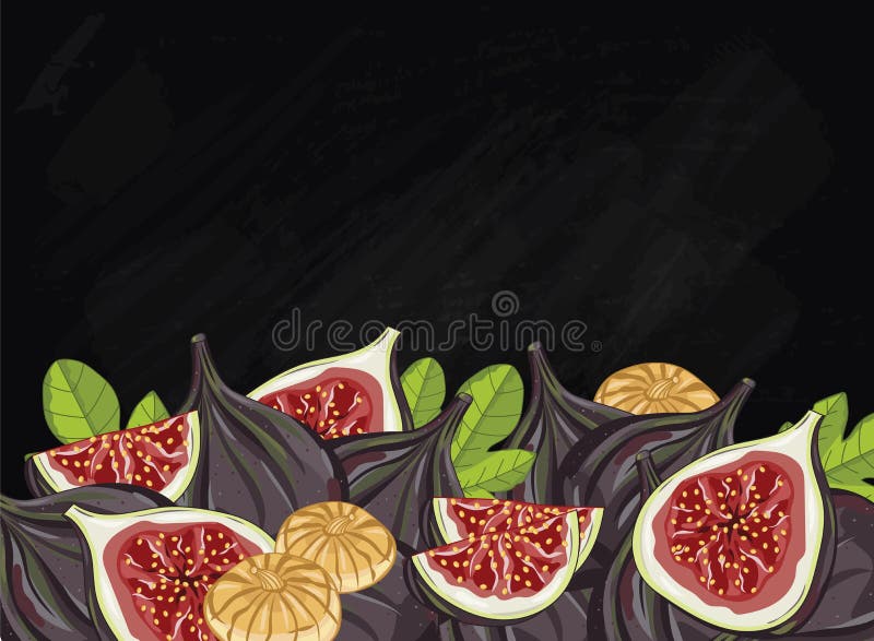 Figs. Composition with Whole, Cut Fruits. Drawing in Colorful Sketch ...