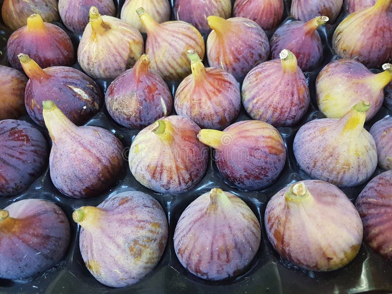 Figs Fruits in Grocery Crate Stock Photo - Image of nourishment, blue ...