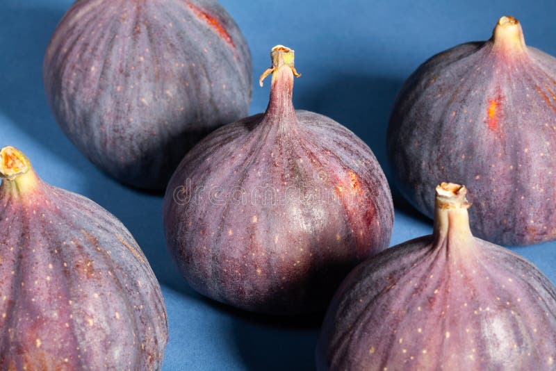 A Group of Blue Butterflies Stock Image - Image of eurytheme, colias ...