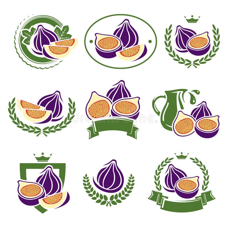 Figs Labels and Elements Set. Vector Stock Vector - Illustration of ...