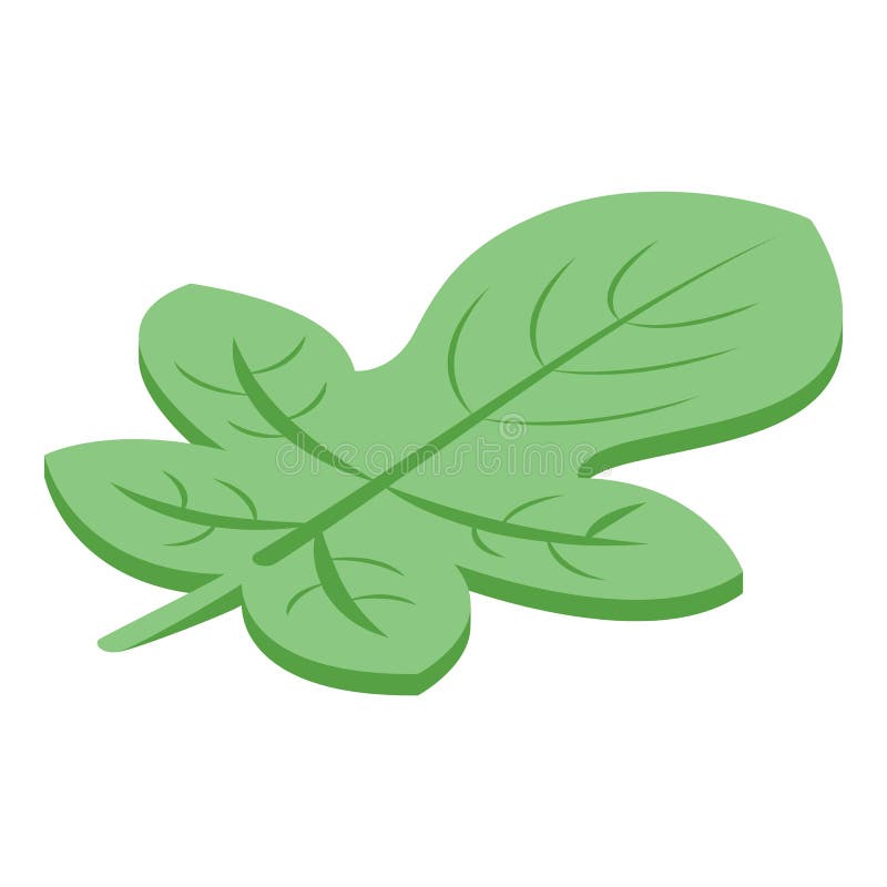 Figs Leaf Icon, Isometric Style Stock Vector - Illustration of leaf ...