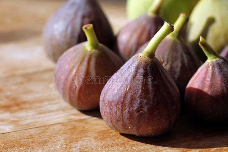 Figs stock photo. Image of maturity, biological, fiber - 45223450