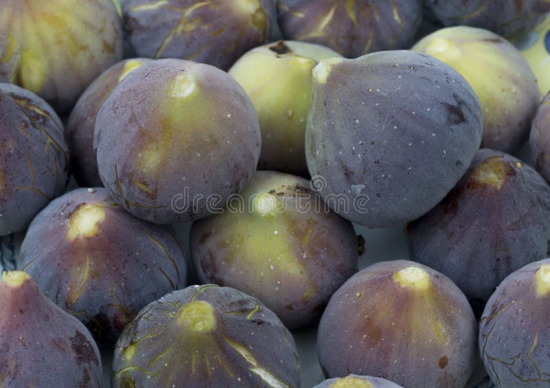 Figs stock photo. Image of nature, freshness, tropical - 44082462