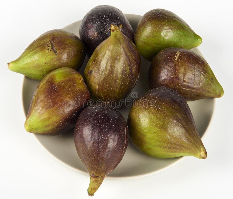 Figs stock image. Image of plate, fruit, nature, figs - 42431913