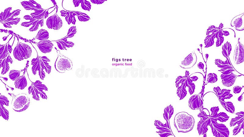 Fig Border Stock Illustrations – 541 Fig Border Stock Illustrations ...