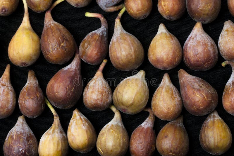 Market provence stock photo. Image of provence, garlic - 11011910