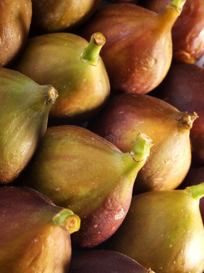 Figs stock photo. Image of figs, close, view, food, small - 48844800