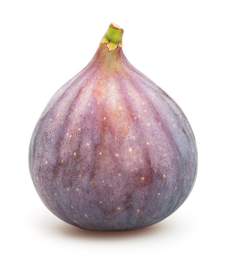 Figs stock photo. Image of fruit, background, studio - 59731958