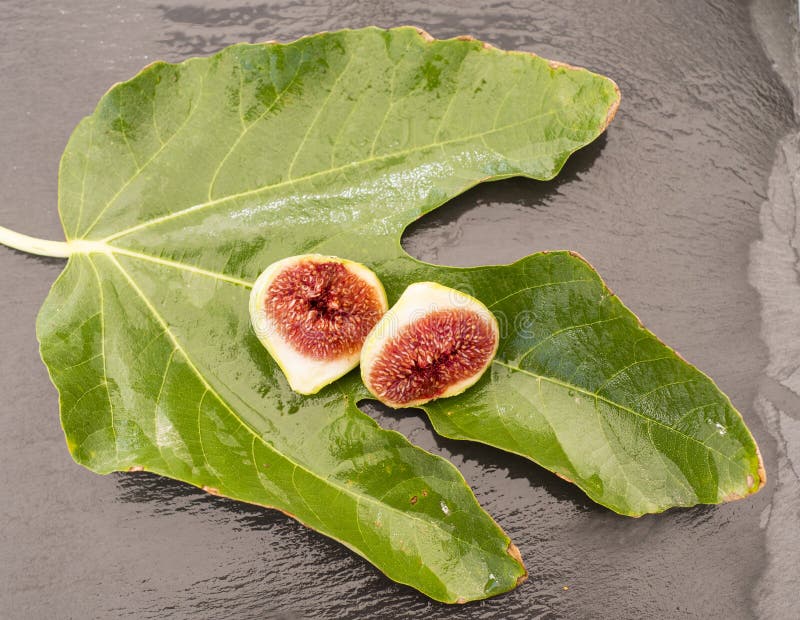 Figs Split Stock Photos - Free & Royalty-Free Stock Photos from Dreamstime