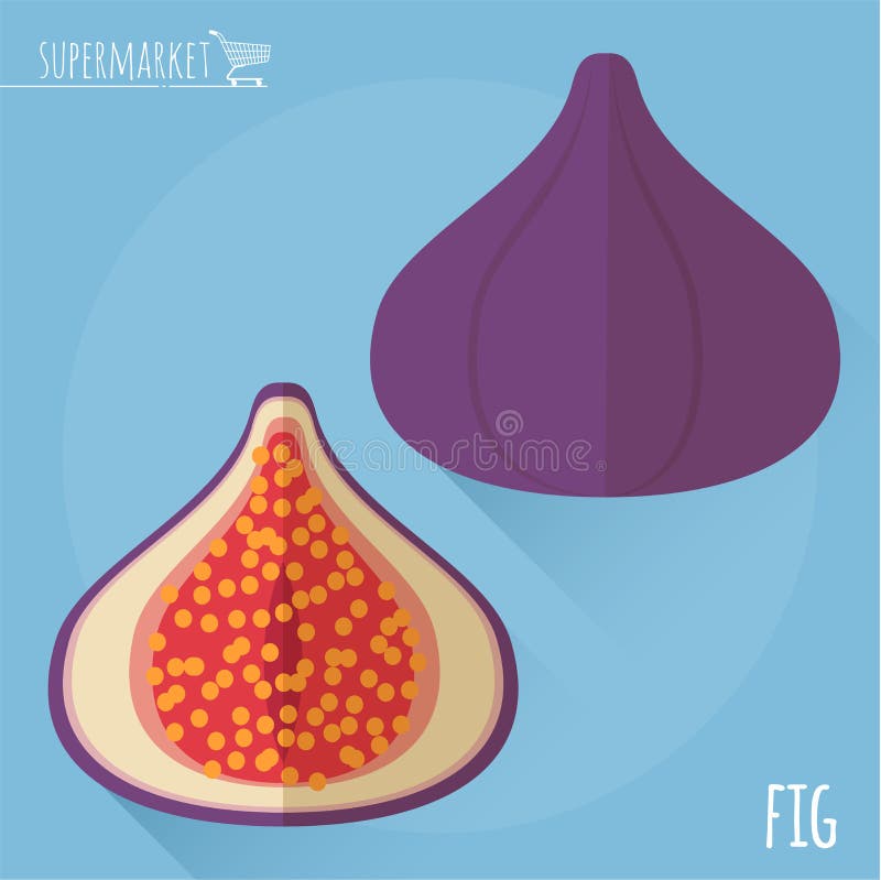 Fig Icon Vector Isolated on White Background, Logo Concept of Fig Sign ...