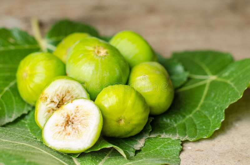 Figues vertes sur l'arbre image stock. Image du lames - 59593209