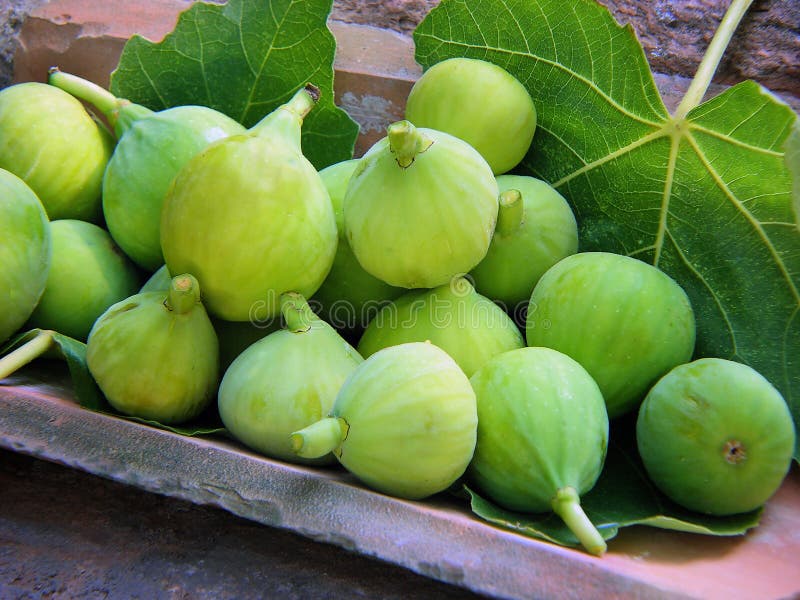 Figues vertes photo stock. Image du lame, ingrédient - 43215562