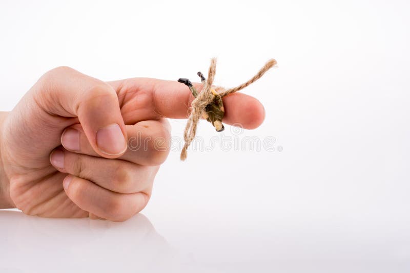 Figura De La Muchacha Dibujada En Una Extremidad Del Finger Imagen de ...