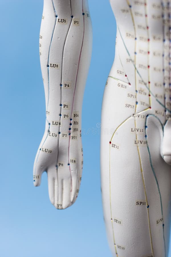 Figura da acupunctura foto de stock. Imagem de acupuntura - 1660596