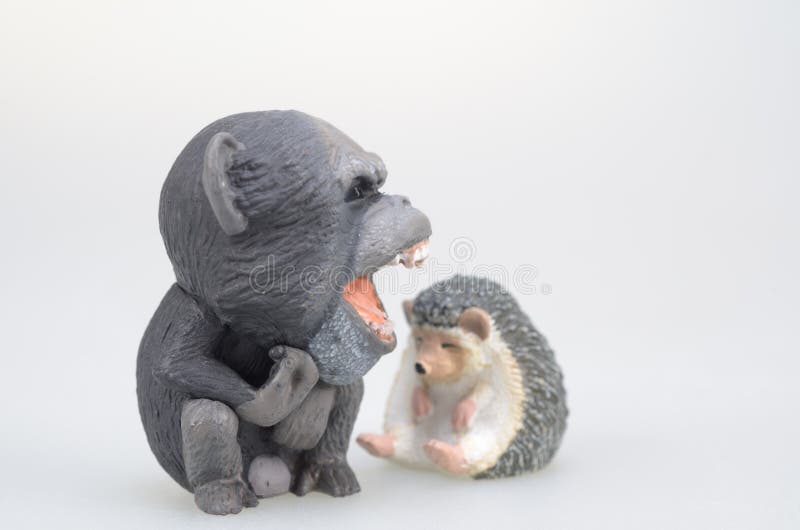 Angry Ape Face of Sleeping Hedgehog Stock Photo - Image of snout, nose ...